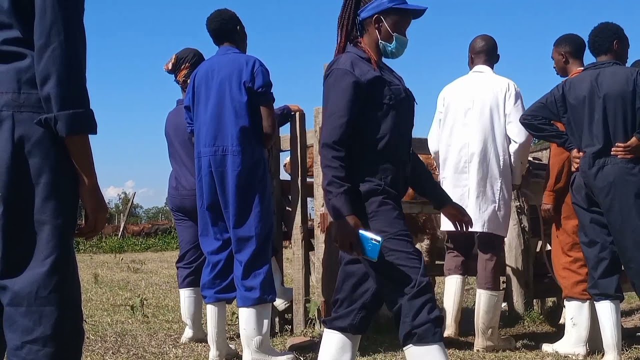 A visit to KALRO by Dairy Training Institute students from Naivasha ☀️# ...
