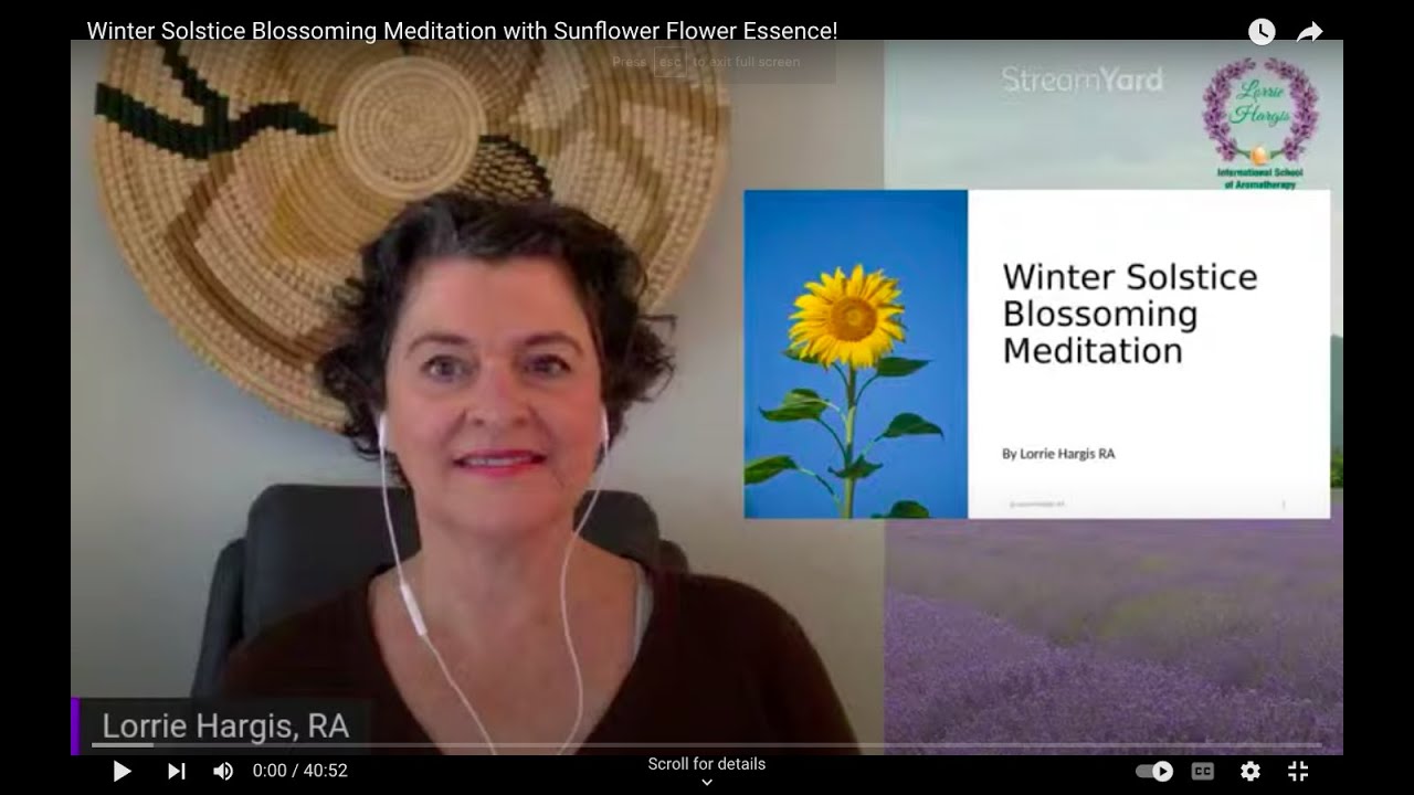 Winter Solstice Blossoming Meditation with Sunflower Flower Essence ...