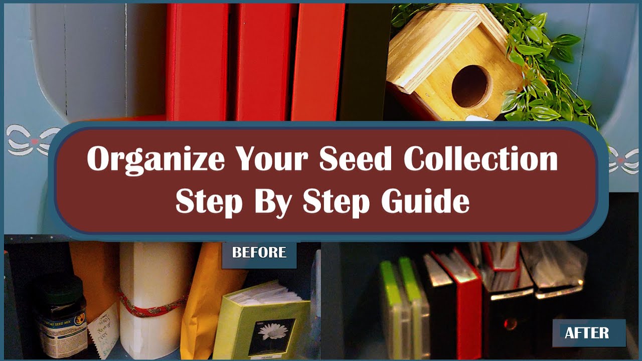 Organize Your Seed Collection Step By Step Guide - YouTube