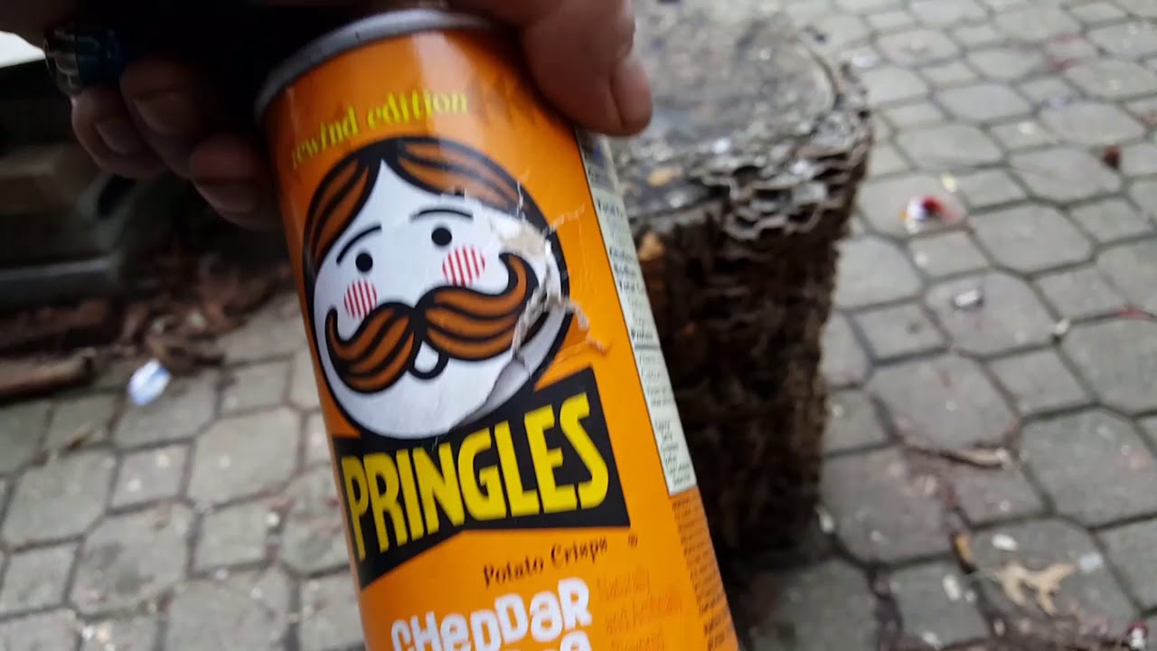 Can you blow up a pringles can with fire crackers? - YouTube