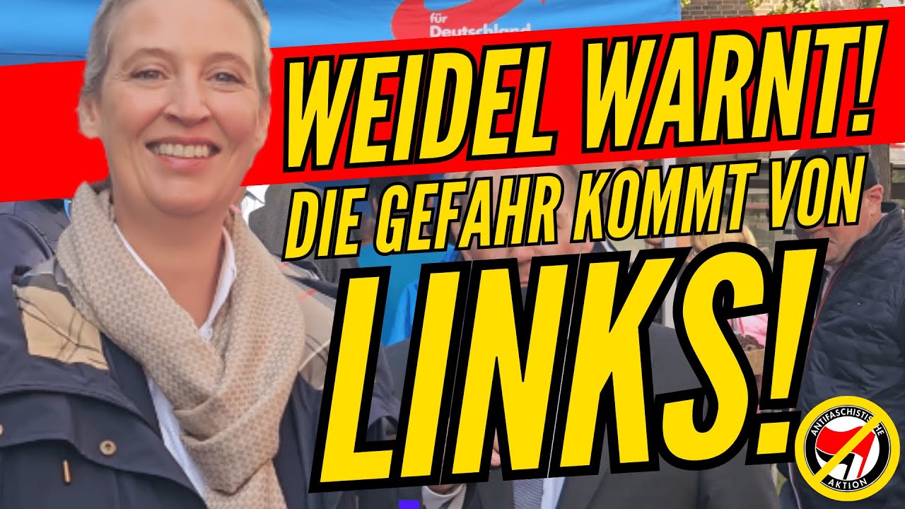 Wählt die AfD Alice Weidel Interview mit Politik im Fokus - YouTube