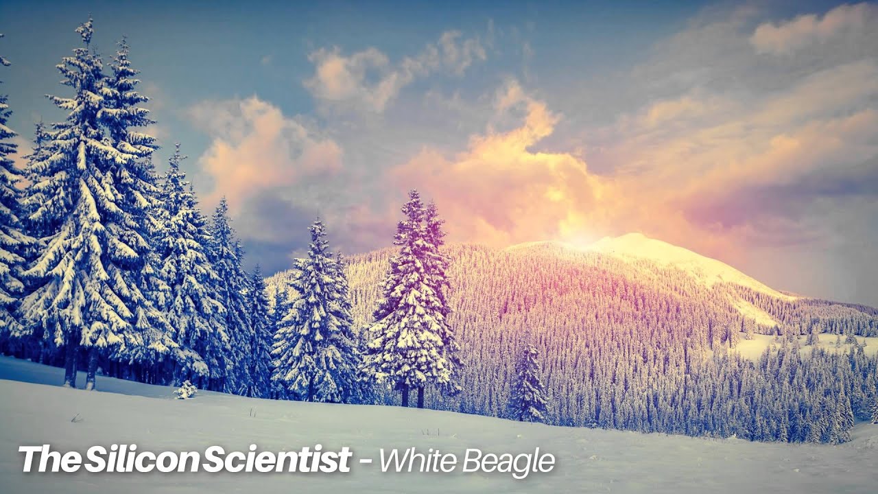 The Silicon Scientist - White Beagle - YouTube
