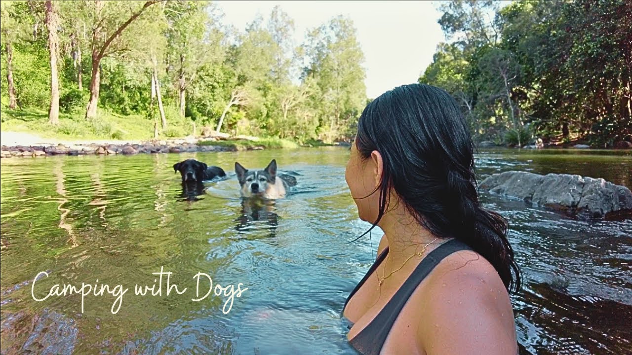 #8 Camping & Finding Solitude In The State Forest - YouTube