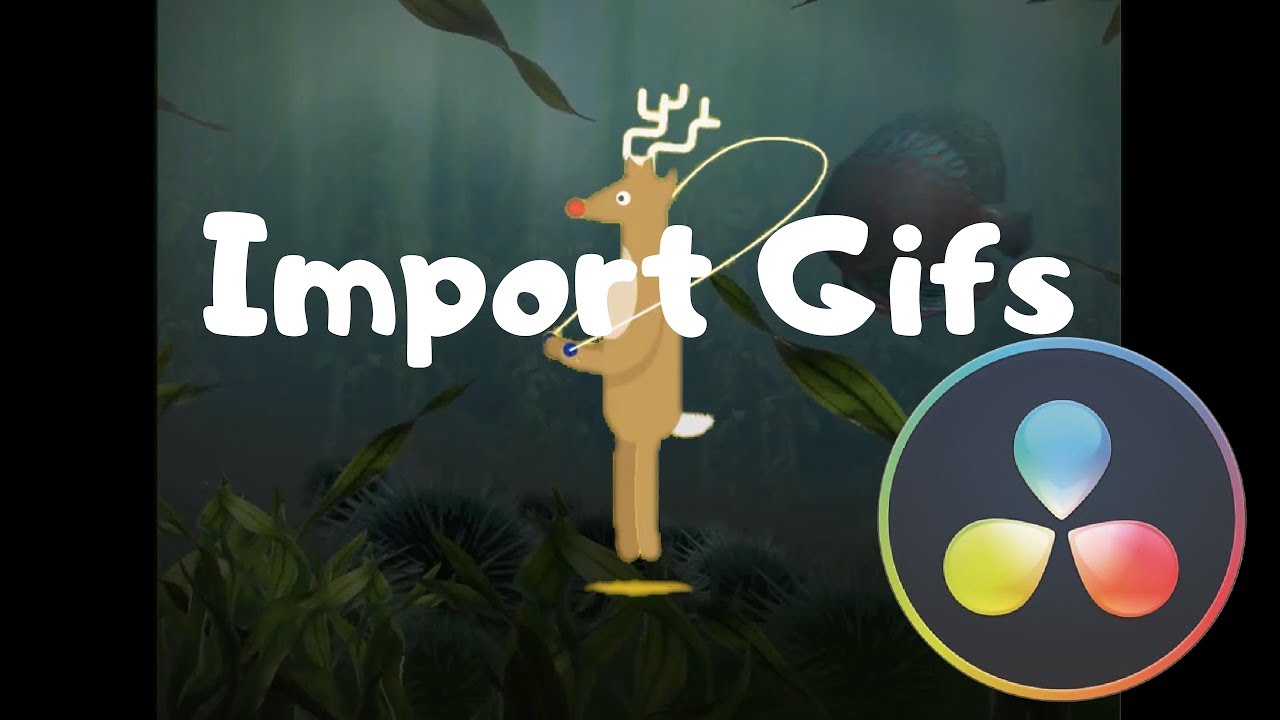 How to Import Gifs in Davinci Resolve 15 - YouTube