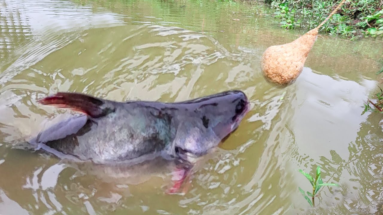 Amazing Unique Hook Fishing Technique Form River Village Boy Hunting ...