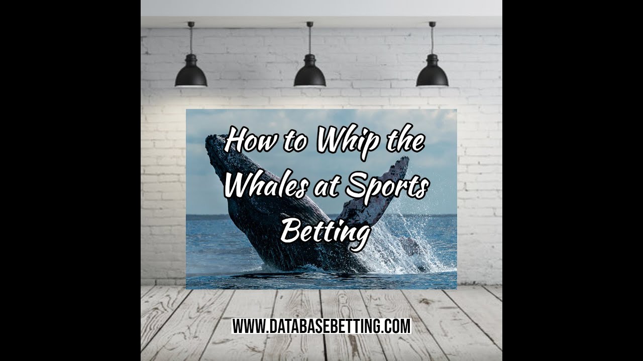 4 Ways to Whip the Whales at Sports Betting - YouTube