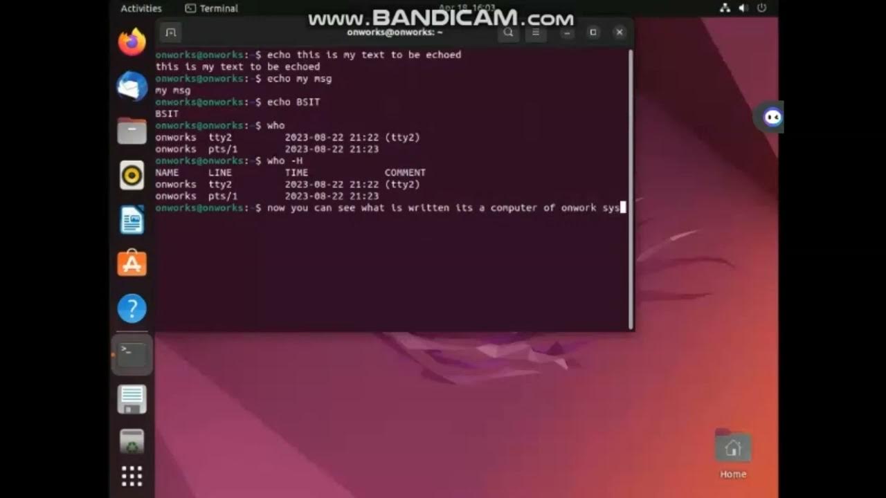 Using echo, who, whoami Commands on Ubuntu Linux - YouTube