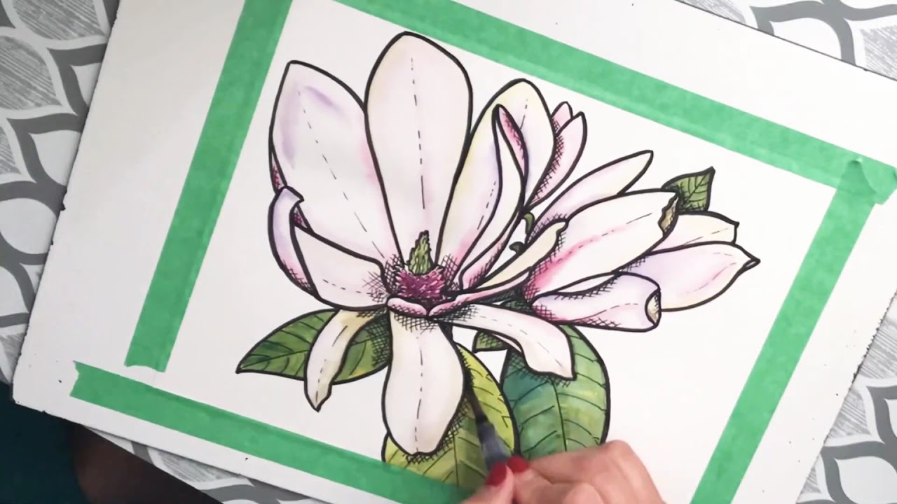 Magnolia Flower, watercolour time lapse. - YouTube