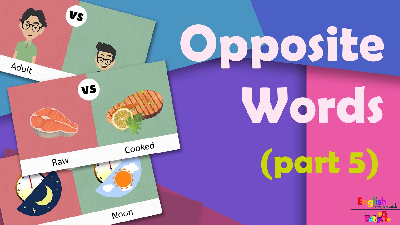 20 Antonyms / Opposite words (part 5) | English learning - YouTube