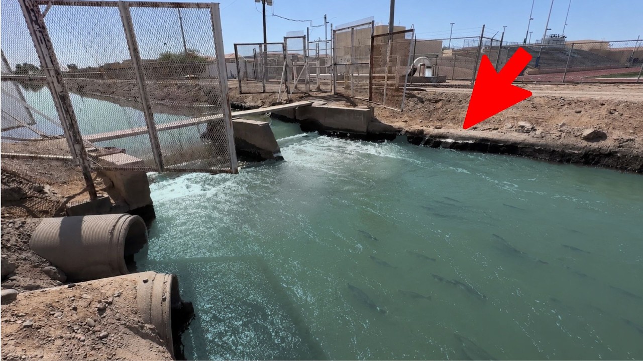 I Found Irrigation Canals LOADED w/ Fish! - YouTube