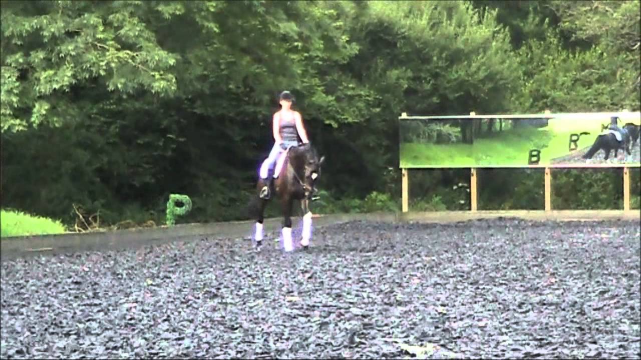 Dressage Lesson - YouTube