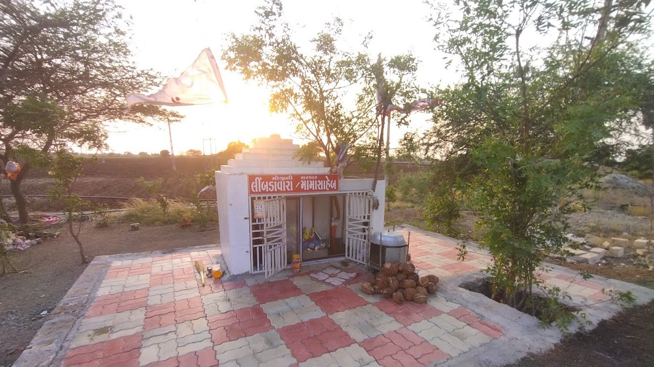 mama dev new status video mama dev new whatsapp status video mama dev ...