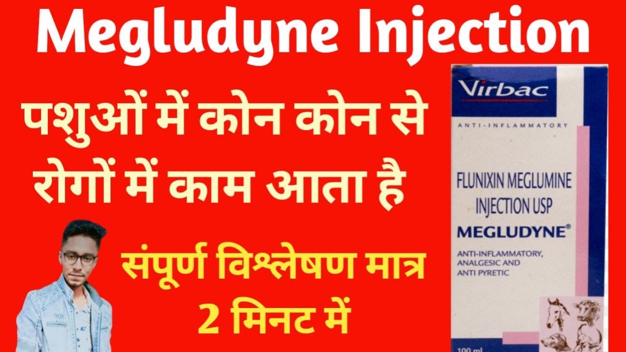Megludyne Injection Veterinary Use In Hindi | पशुओं में megludyne ...