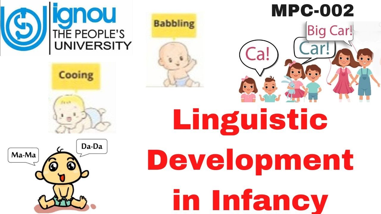 Linguistic Development in Infancy - YouTube