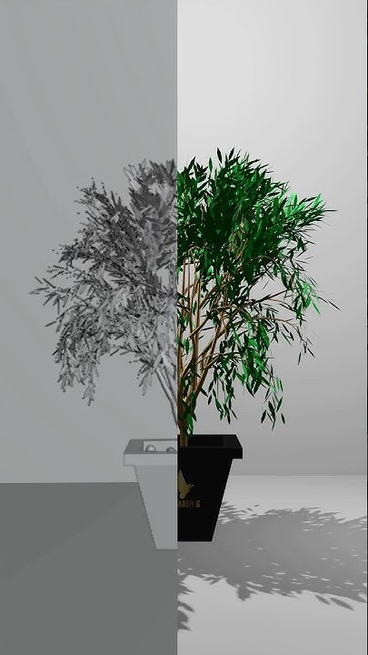 Blender Tree Wind Animation l Short Video #blender3d #blenderrender # ...