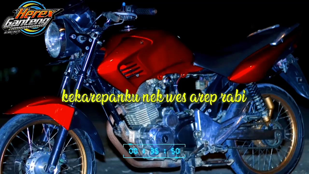 Story wa tiger merah candytone red - YouTube