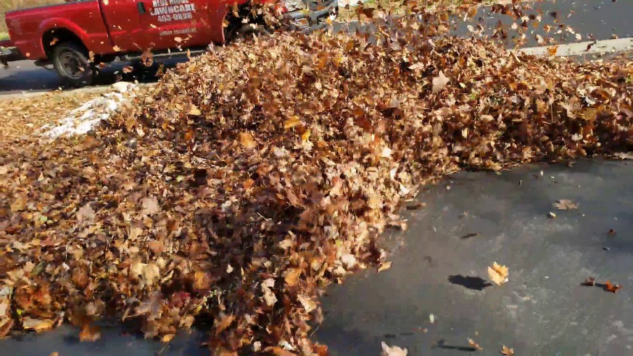 Huge Leaf Clean Up YouTube huge-leaf-clean-up-youtube