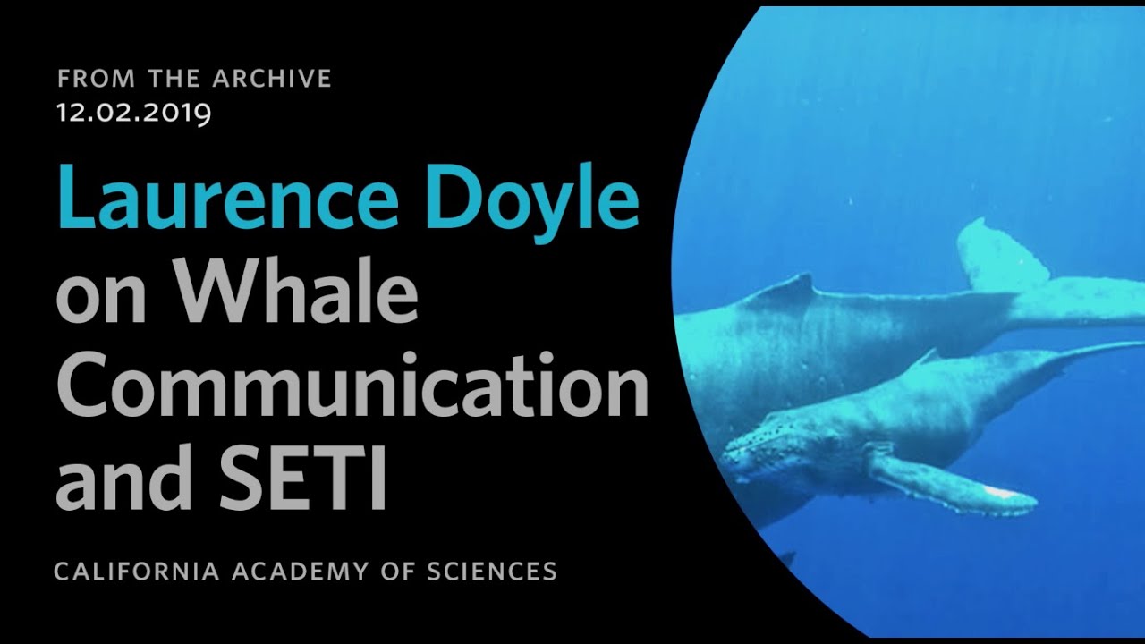Laurance Doyle on Whale Communication and SETI | California Academy of ...