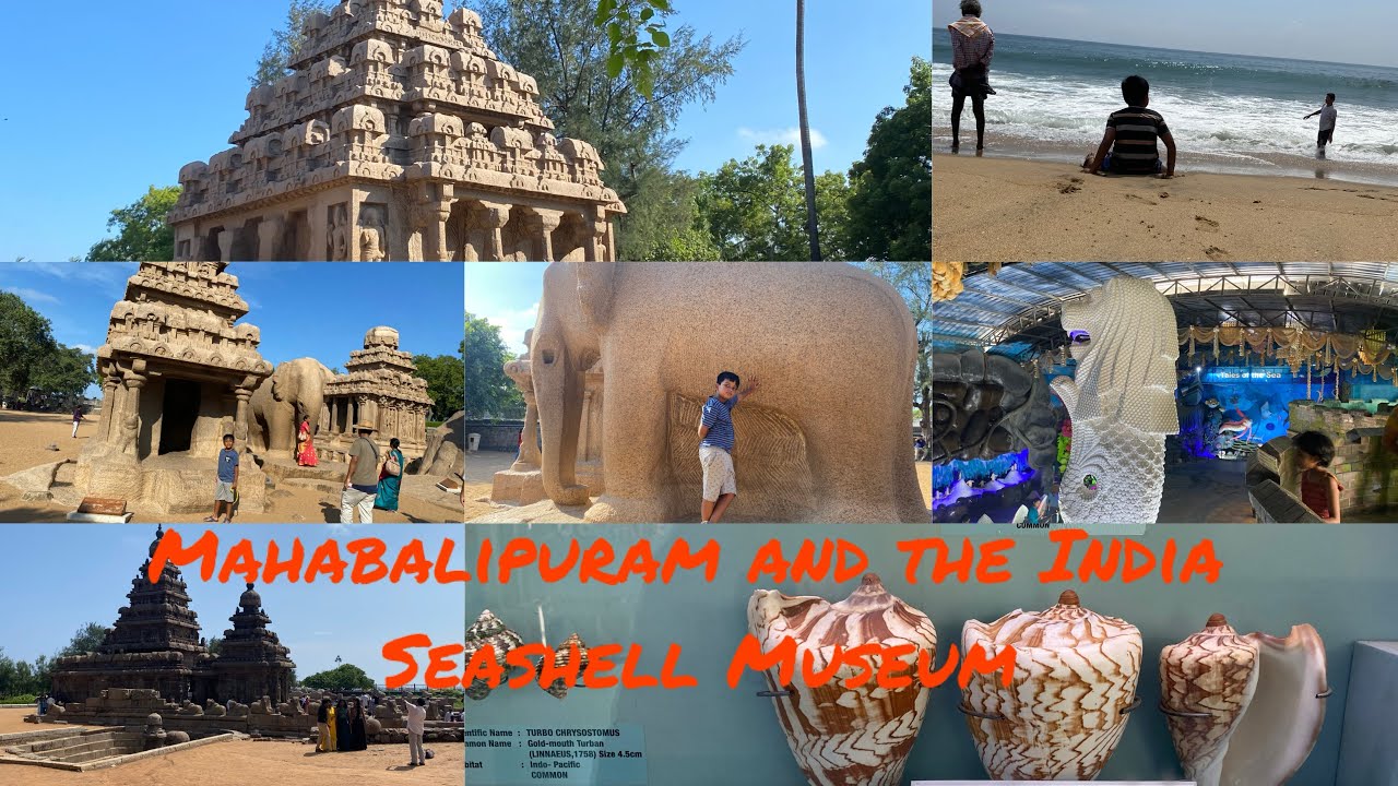 Exploring Mahabalipuram & India Seashell Museum | A Perfect Coastal ...
