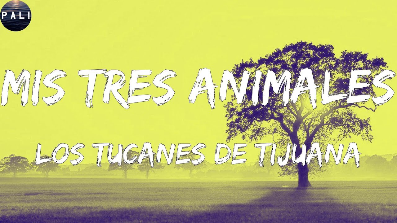 Los Tucanes De Tijuana - Mis Tres Animales (Letras) - YouTube