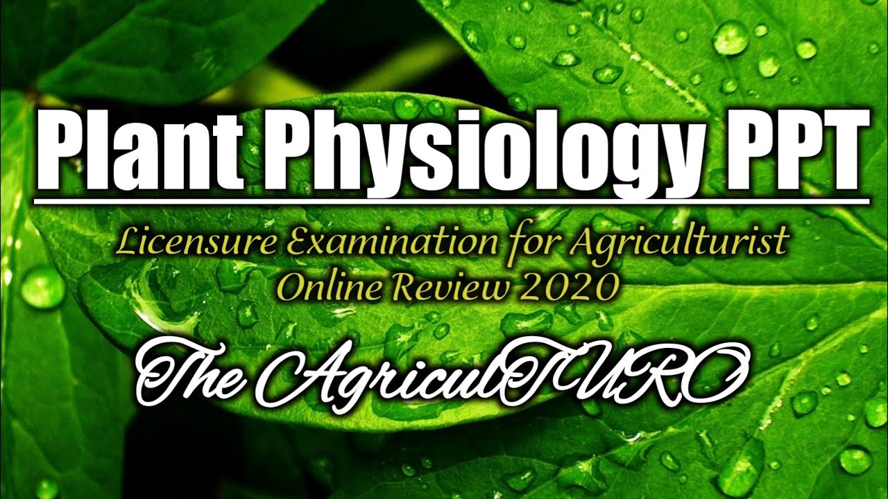 Plant Physiology Ppt Youtube
