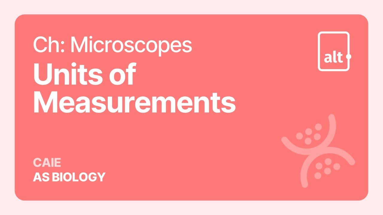Microscopes | Units of Measurement | A Level Biology - YouTube
