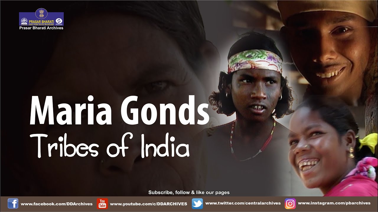 Maria Gonds Tribe | Tribes of India - YouTube