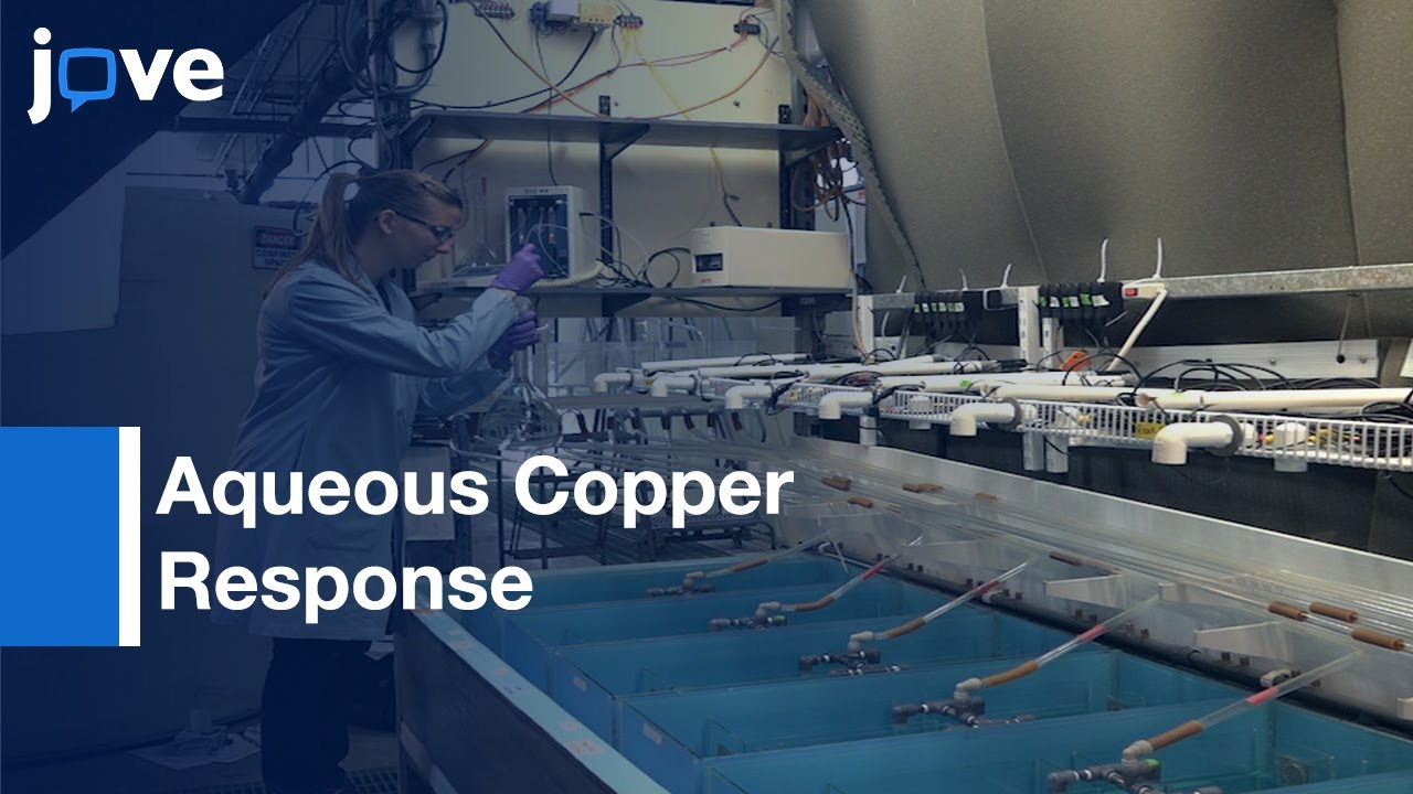 Computer Video and Digital Imaging to quantify Aqueous Copper Response ...