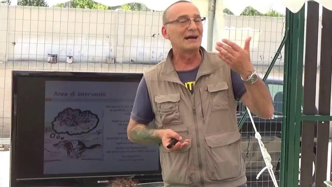 Seminario Odore di Gioco con Attilio Miconi - YouTube