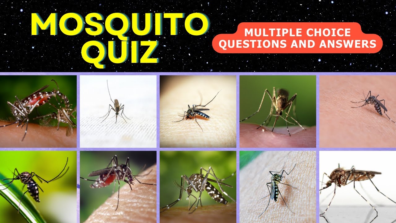 General knowledge mcqs with answers | general knowledge questions - YouTube