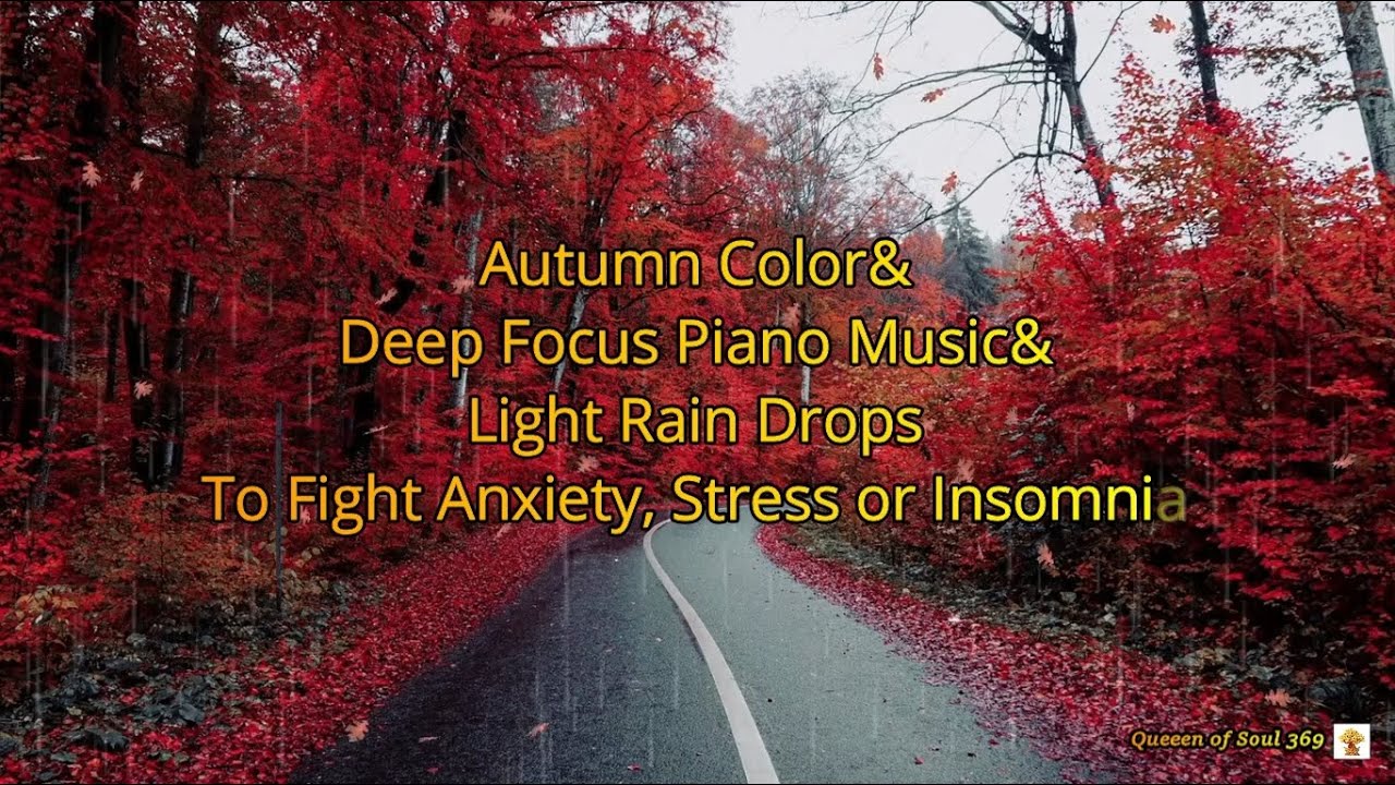 Autumn Color with Deep Focus Piano Music& Light Rain Drops to Fight ...