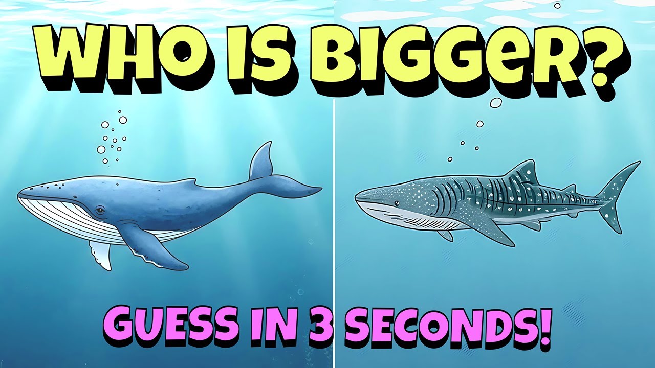 Who's Bigger? Amazing Ocean Animals! Fun Size Comparison for Kids - YouTube