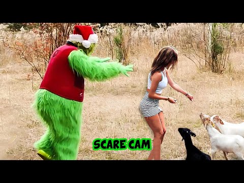 BEST SCARE CAM XMAS Priceless Reactions 2025😈#289 | Funny Scare Cam🤣| Jump Scare 😂| CoCo Scare Cam |