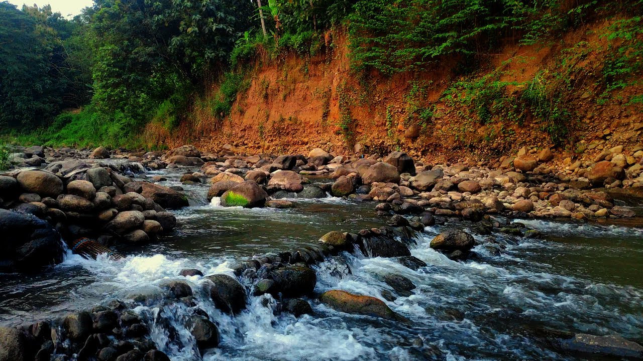 Beautiful Mountain River Flowing Sound, Forest Sounds Relaxation ...