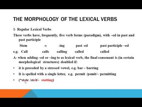 Regular Lexical Verbs - YouTube