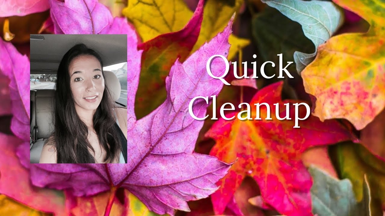 Cleaning Motivation |Chris Leben & Brit Wainio - YouTube