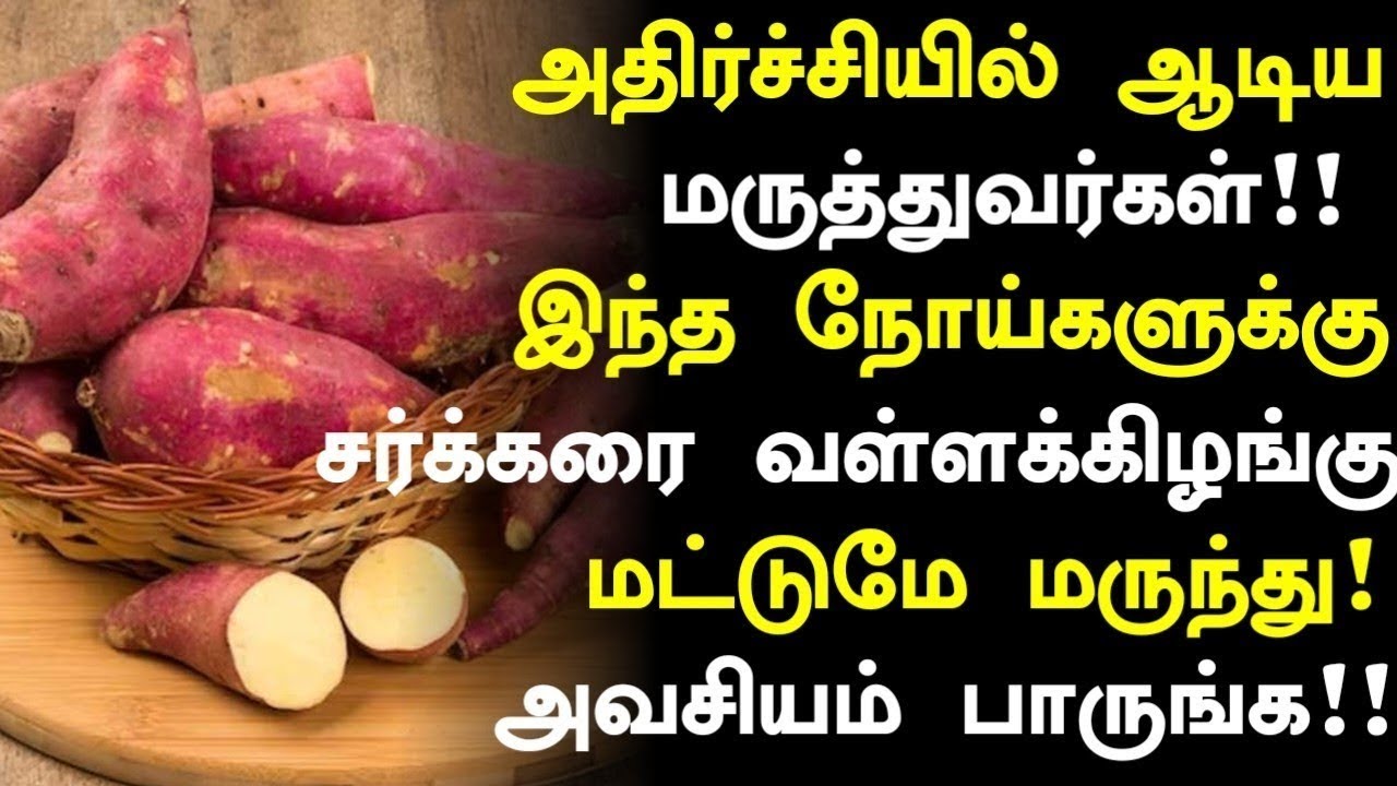 சர்க்கரை வள்ளக்கிழங்கு மருத்துவ நன்மைகள்!|Sakkaravalli Kilangu Benefits ...