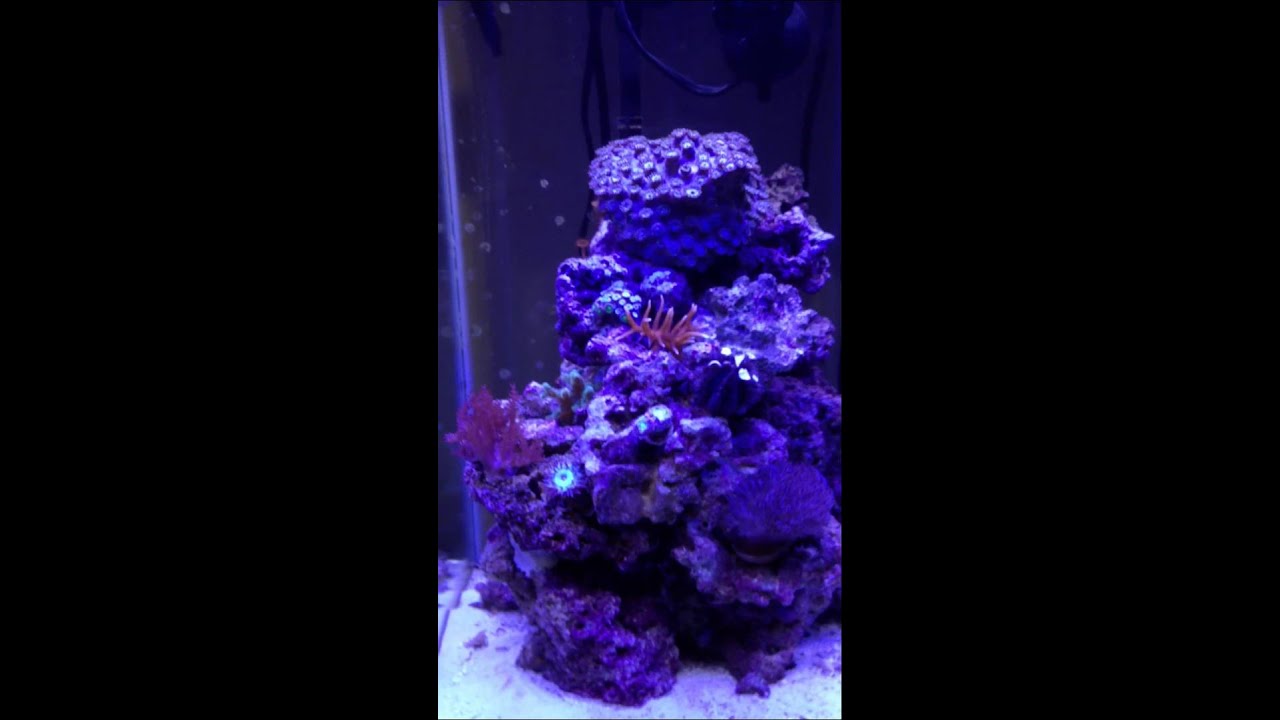 15 Column Tank first video - YouTube