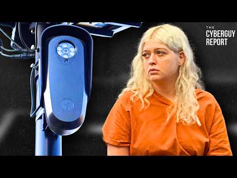 Flock camera sent her to jail for a crime she didn't commit
