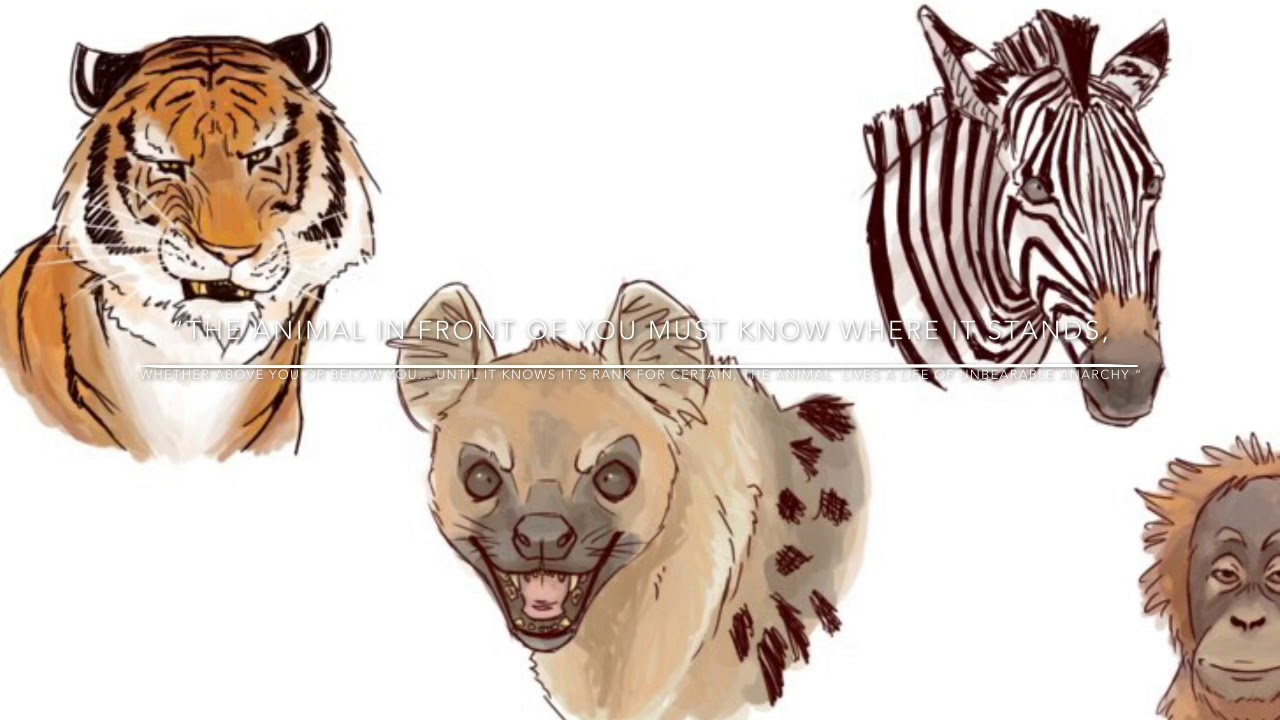 Life Of Pi Symbolism YouTube life-of-pi-symbolism-youtube