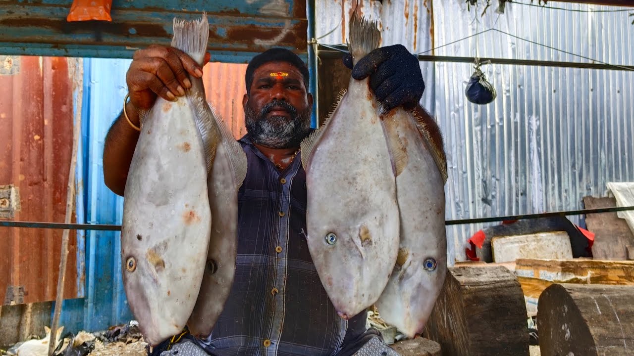 Serupu meen cutting video/#kasimedufishmarket #verytastyrecipe # ...