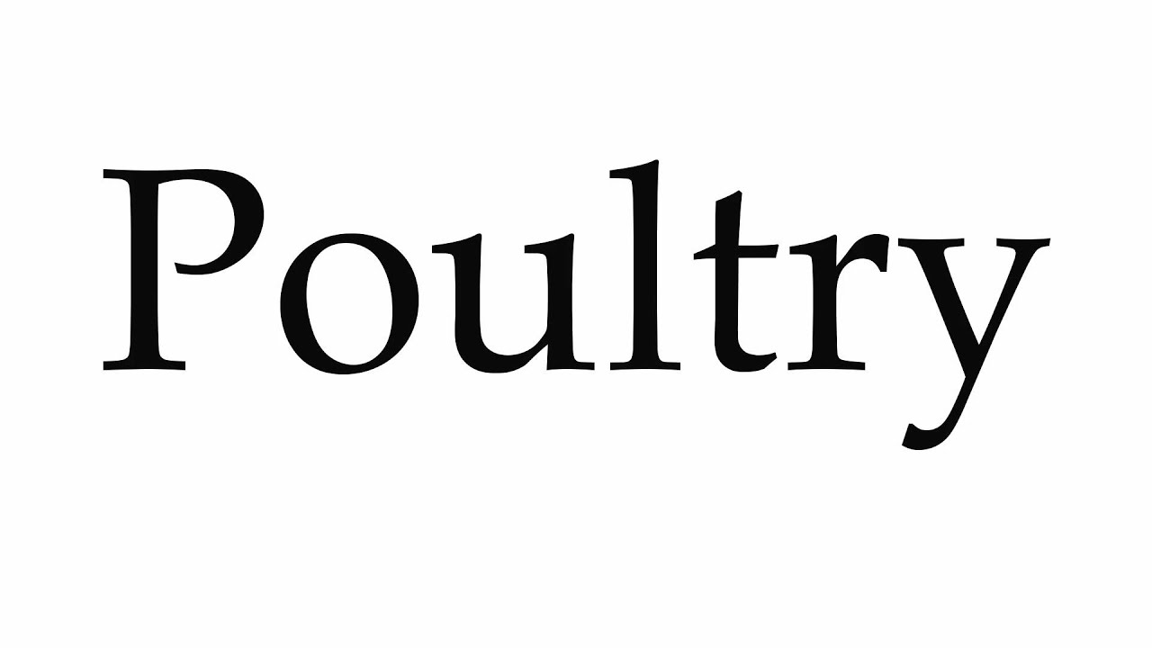 How to Pronounce Poultry - YouTube