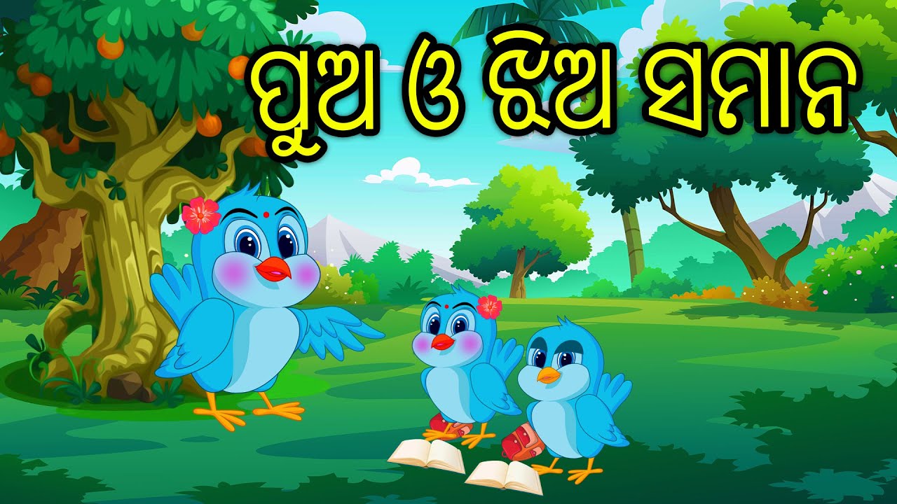 ପୁଅ ଓ ଝିଅ ସମାନ || Birds Story || odia gapa || Moral Story || Mega story ...