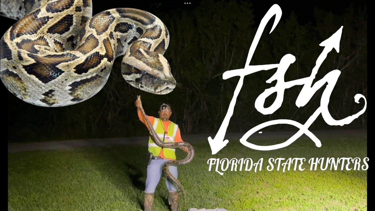 Wrangling Pythons deep in the Florida Everglades with # ...
