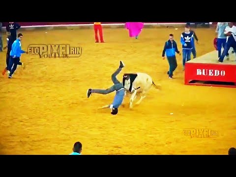 Top bull fights | Bull fails | Bulls getting their revenge on humans ...