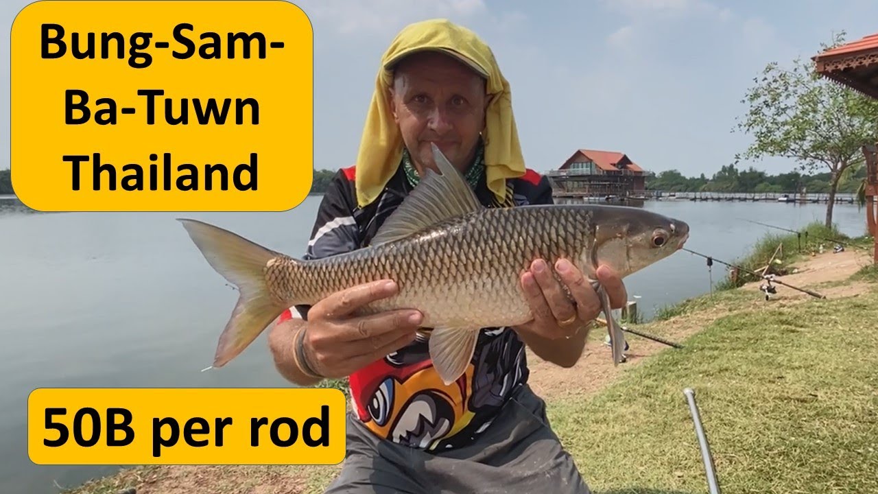 Fishing in Thailand Goose lake for Carp, Mekong catfish at Bung-sam-ba ...