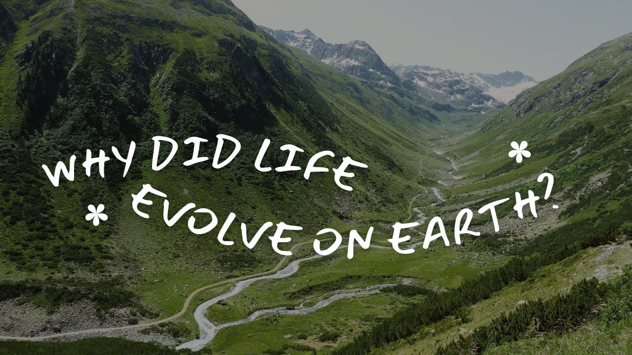 Why did life evolve on Earth? - YouTube