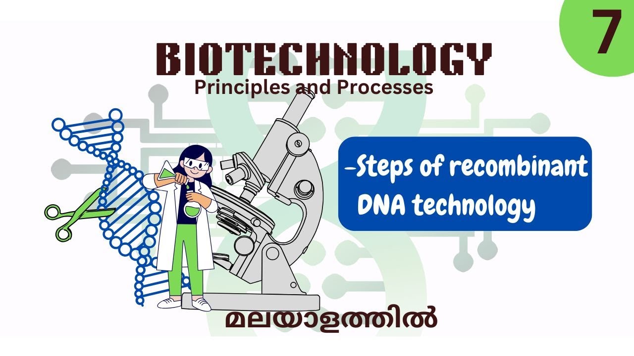 STEPS OF R DNA TECHONOLOGY BIOTECHNOLOGY PRINCIPLES AND PROCESSES PART ...