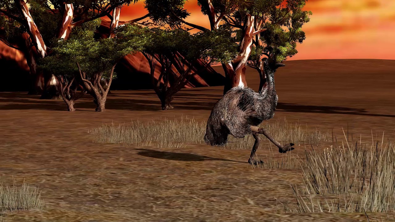 Uluru Emu Shuffle - YouTube