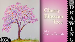 How To Draw A Cherry Blossom Tree In Pencil